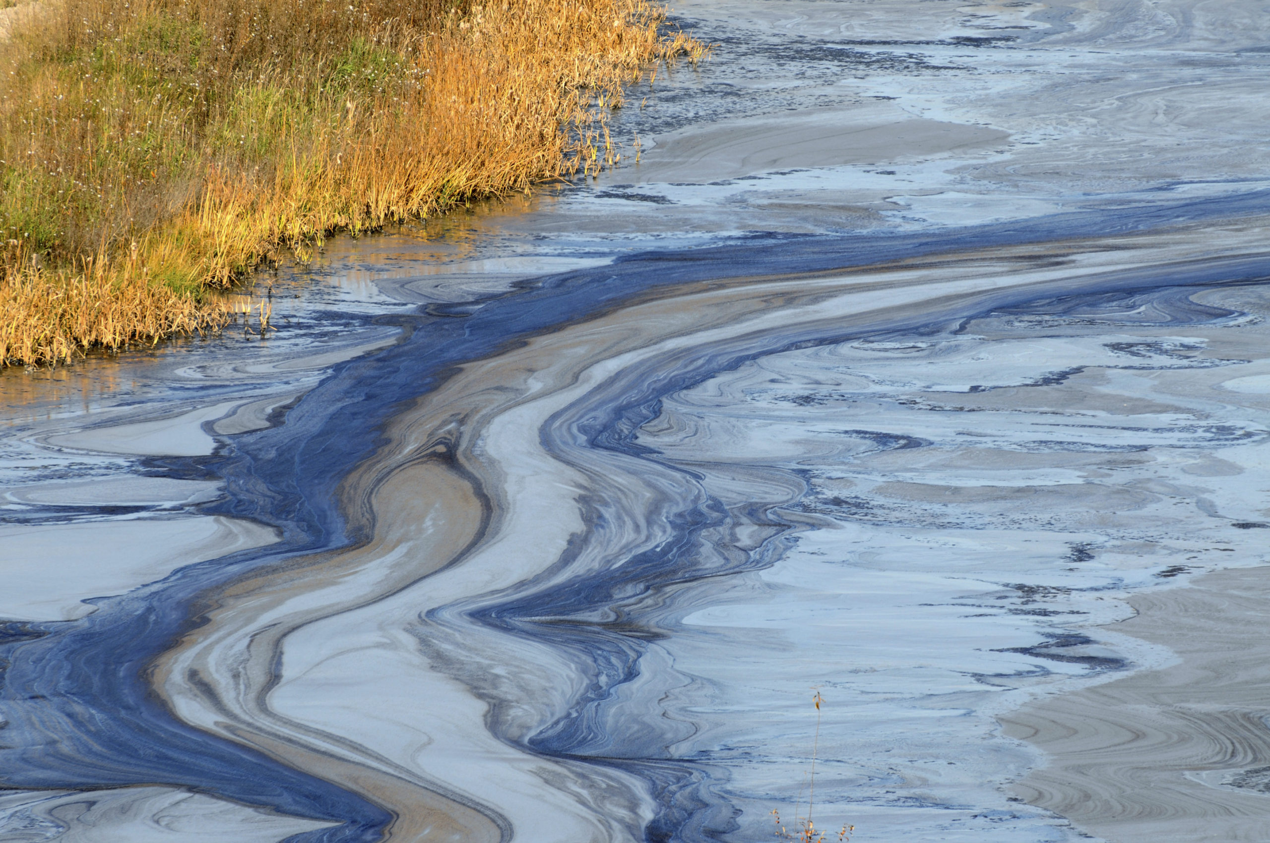 Oil Slick In Water Nature Bats Last